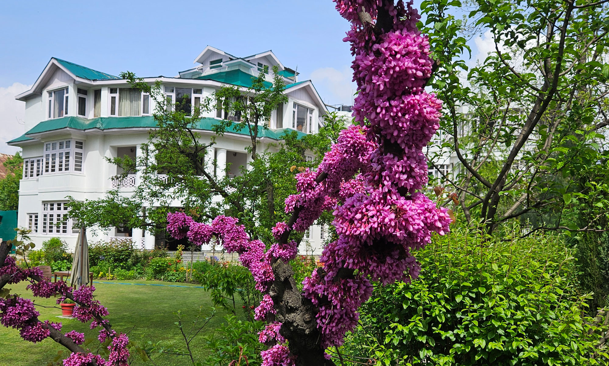 Green Acre | Srinagar, Kashmir - Holidays, Vacation, Hotel, Hotels ...